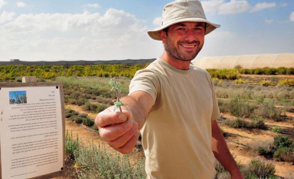 Neshima – Breathing Oil - Neshima